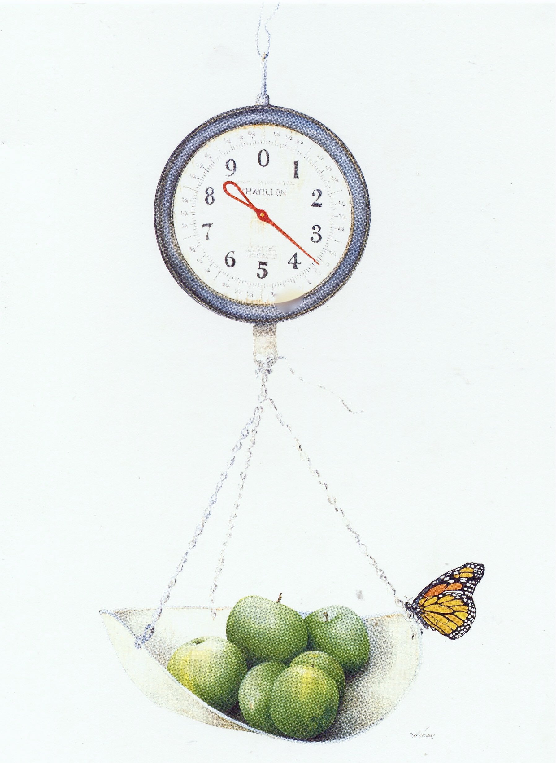 A Just Weight – Cageless Birds