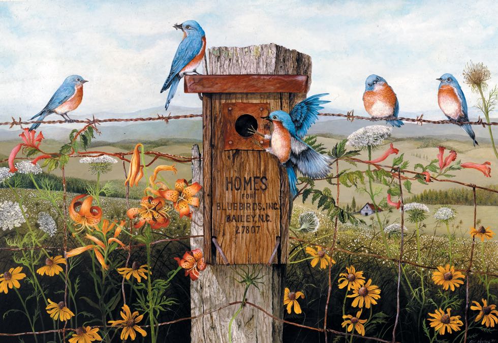 Family – Cageless Birds